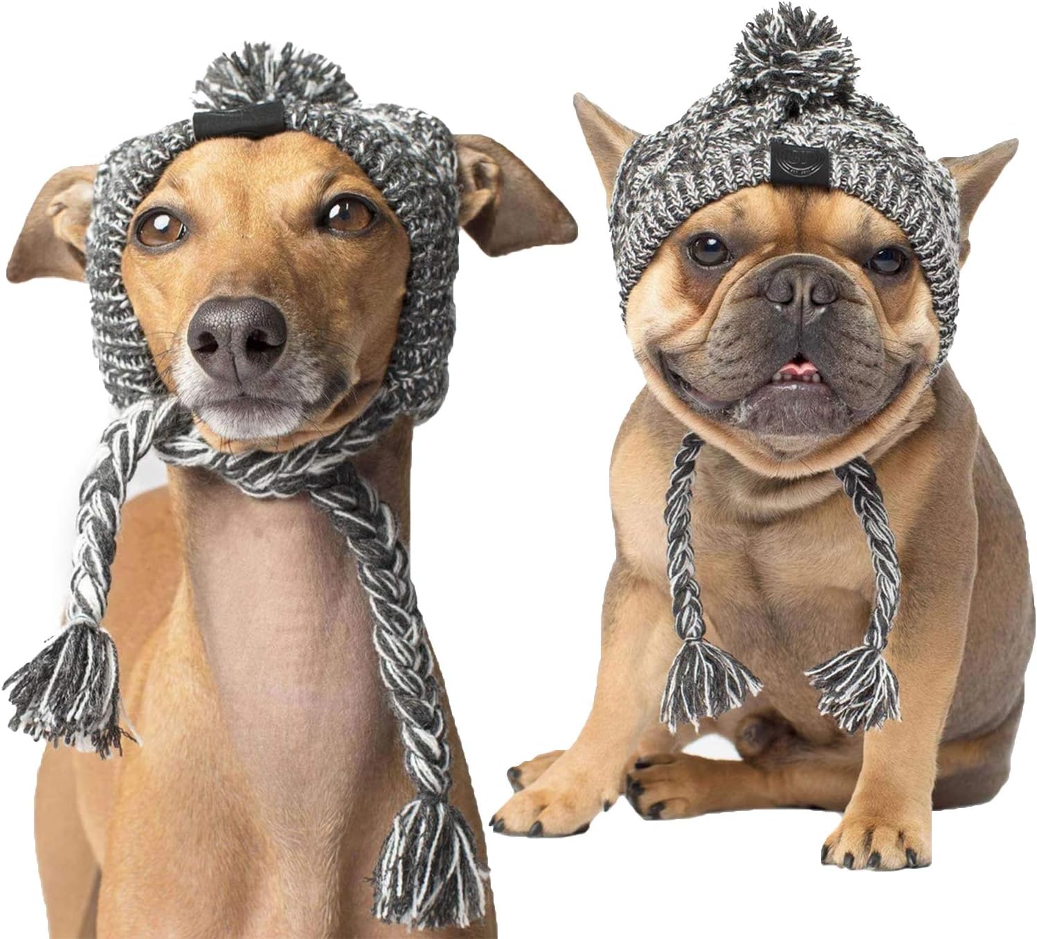 Adorable Dog Beanie-Buy 2pcs Get Free shipping – PAWBIBI